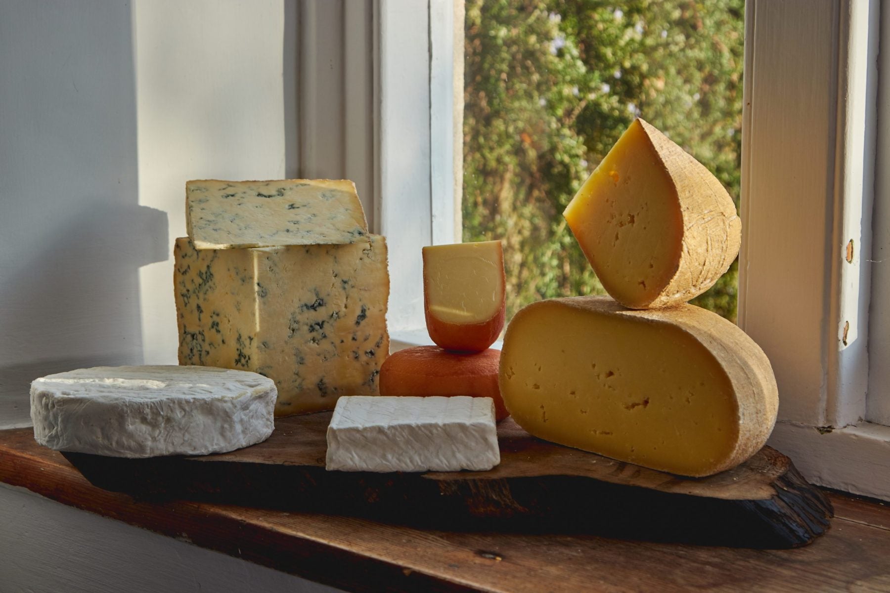 Individual Artisan British Cheeses