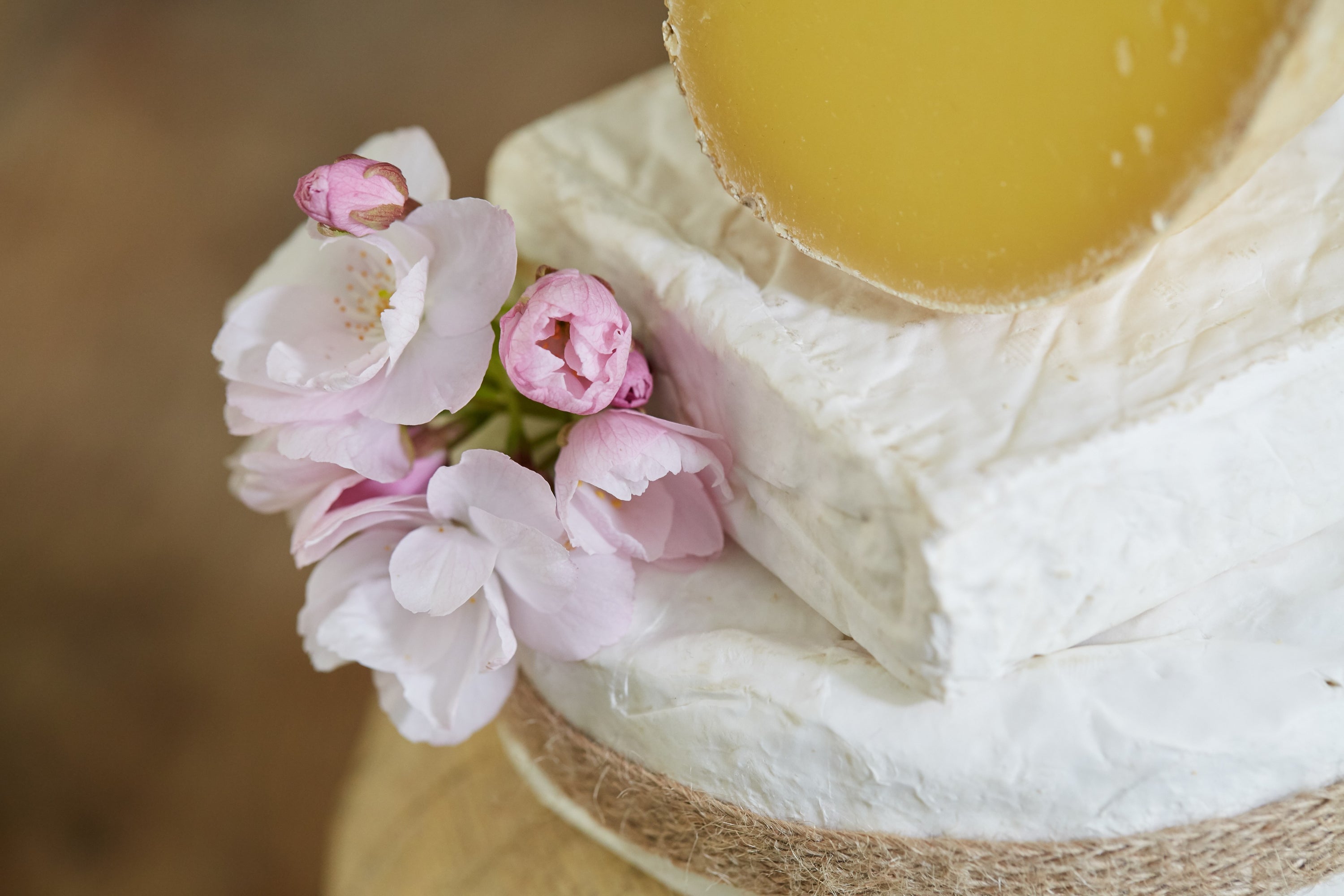 Bath Soft Cheese – Bath Soft Cheese