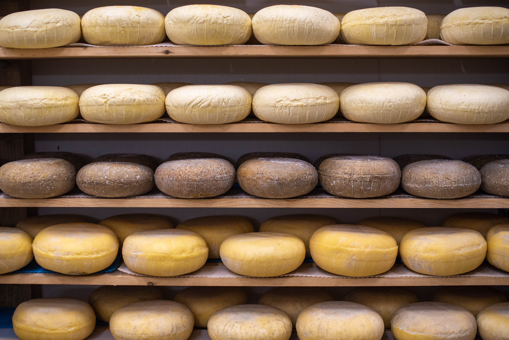 Cheese Making Masterclass & Cheese Tours – Bath Soft Cheese
