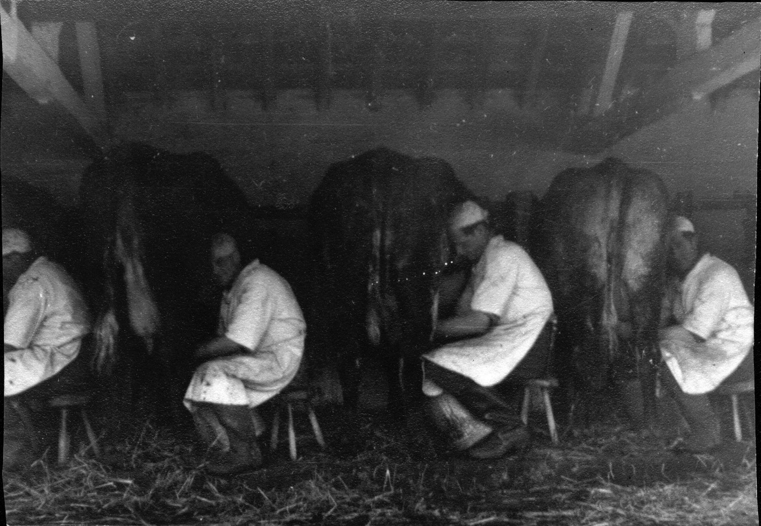 Our History – Bath Soft Cheese