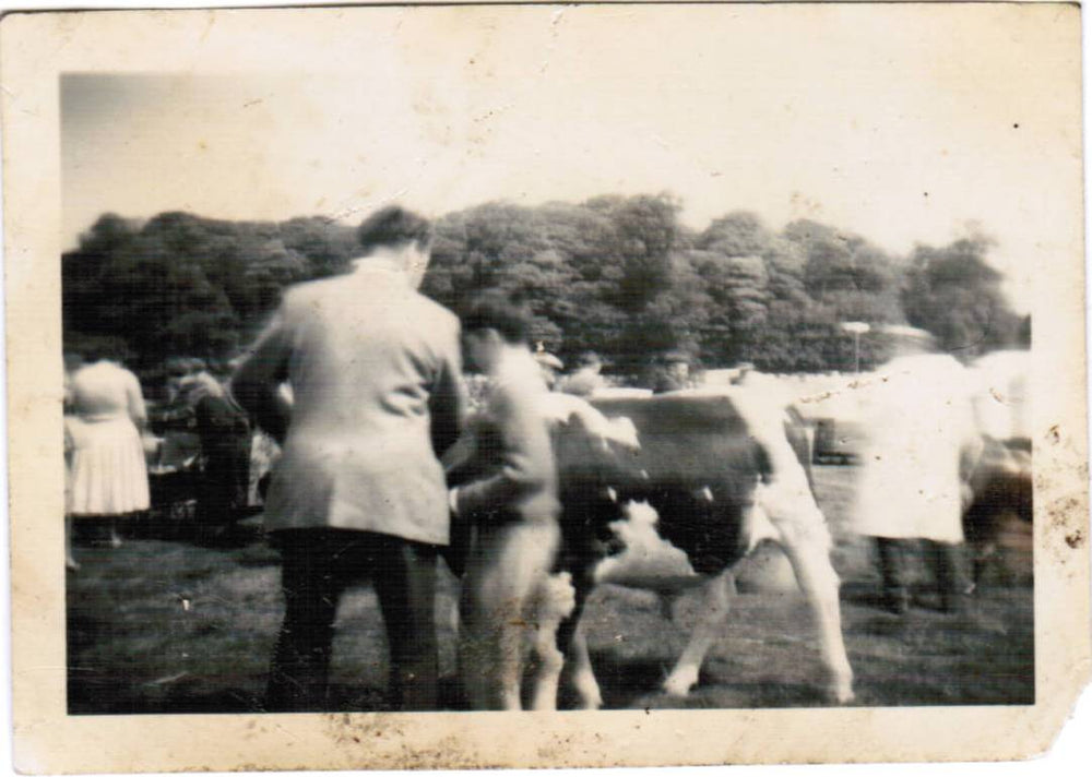 Our History – Bath Soft Cheese